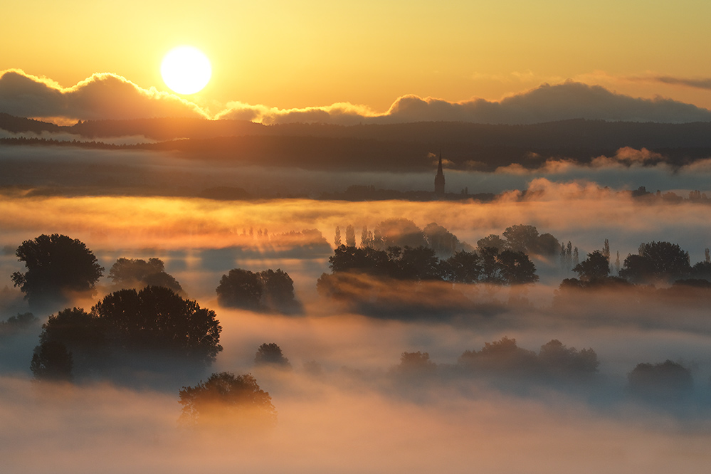Das Aachried bei Radolfzell im Nebel - Sommer 2011